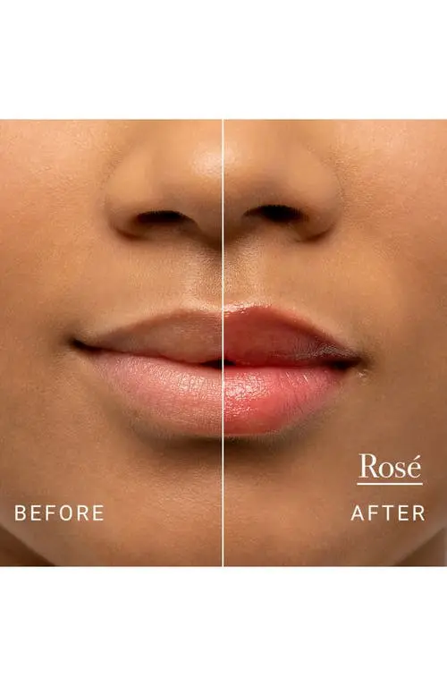 Fresh Tint & Treat Lip Balm Set $54 Value
