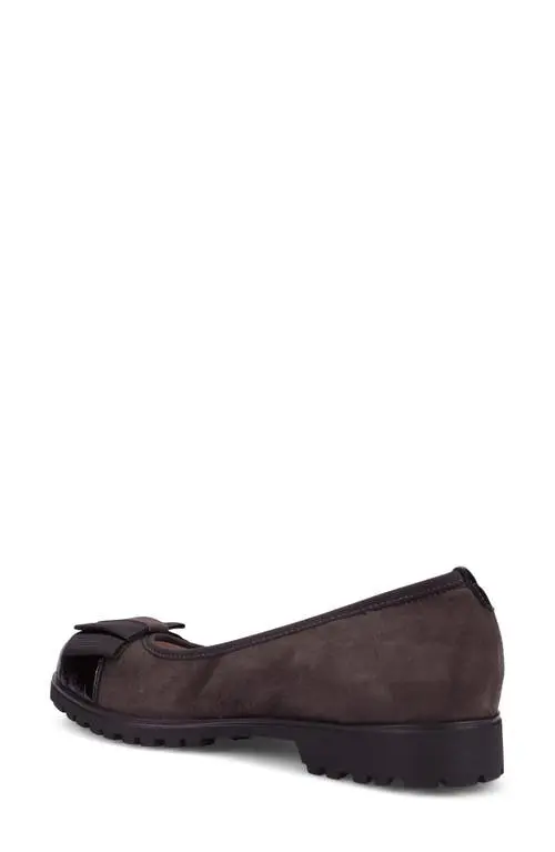 Ron White Ivale Bow Flat - Chocolate
