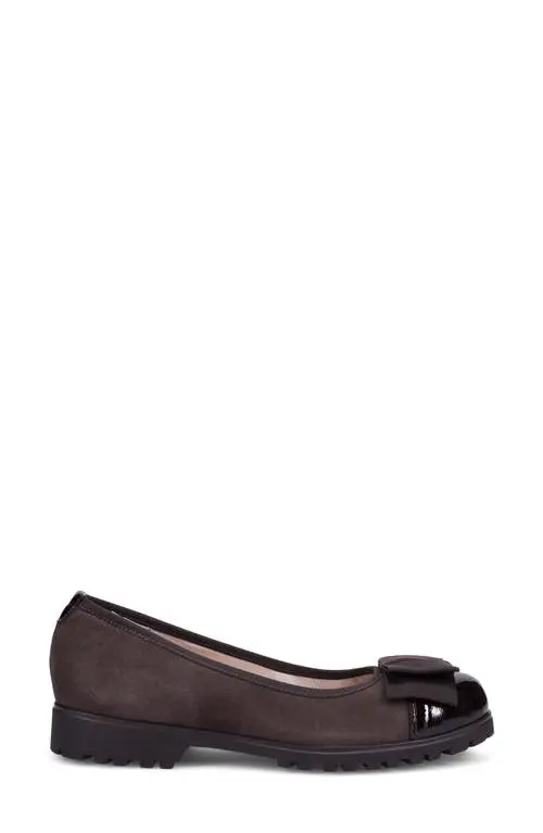 Ron White Ivale Bow Flat - Chocolate