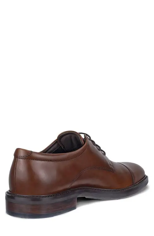 Ecco Metropole Prague Cap Toe Derby - Camel