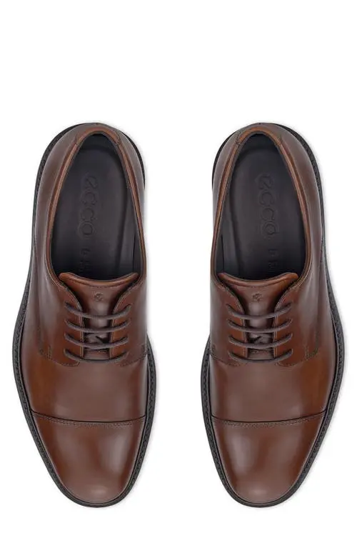 Ecco Metropole Prague Cap Toe Derby - Camel