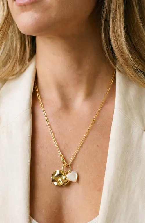 Argento Vivo Charm Necklace