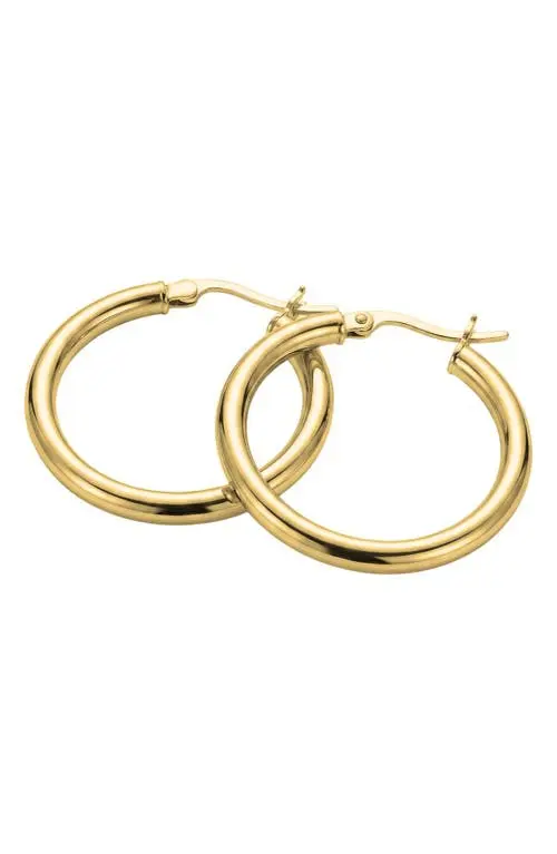 Argento Vivo Clip Top Earrings - Gold