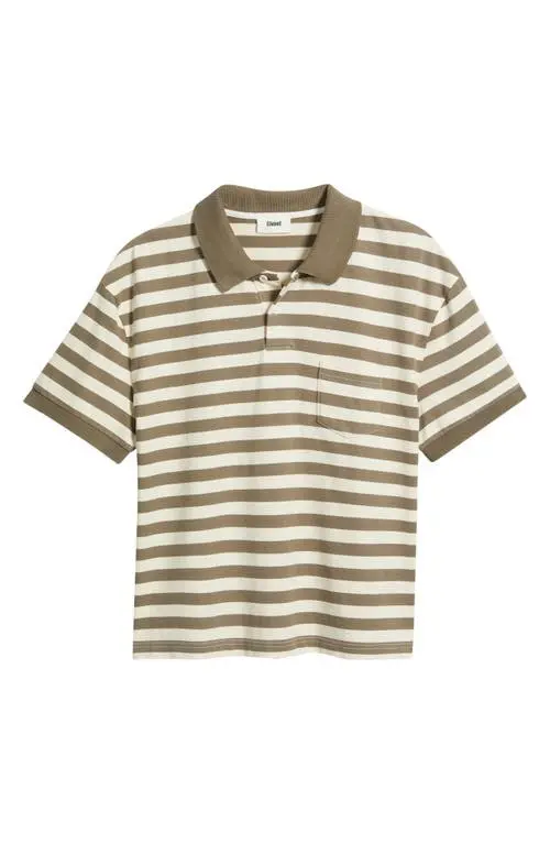 ELWOOD Stripe Distressed Crop Cotton Polo - Brown Stripe