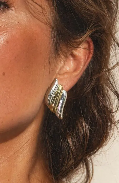 Argento Vivo Two-tone Wing Stud Earrings