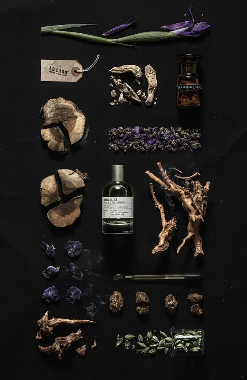 Le Labo Santal 33 Eau De Parfum $230 Value