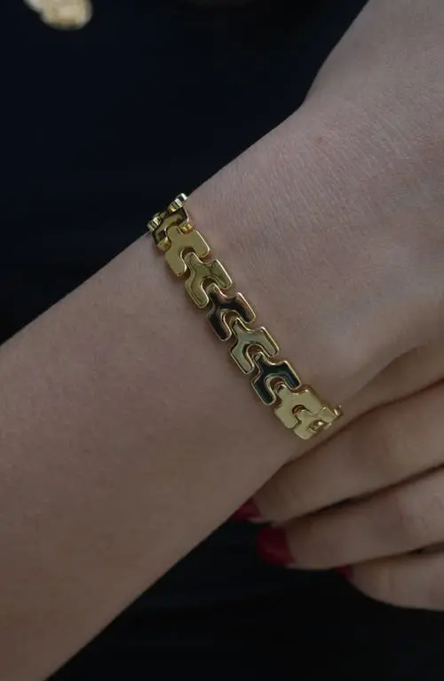 Argento Vivo Link Bracelet