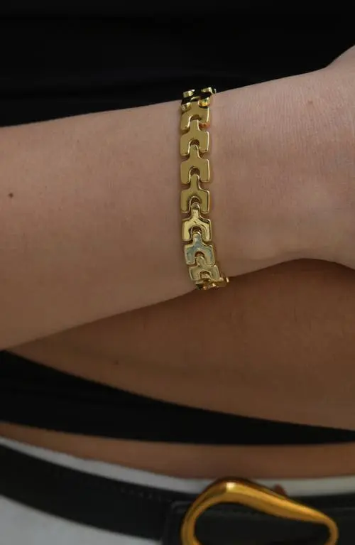Argento Vivo Link Bracelet