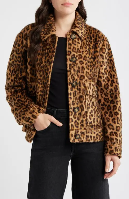 Bernardo Print Jacket
