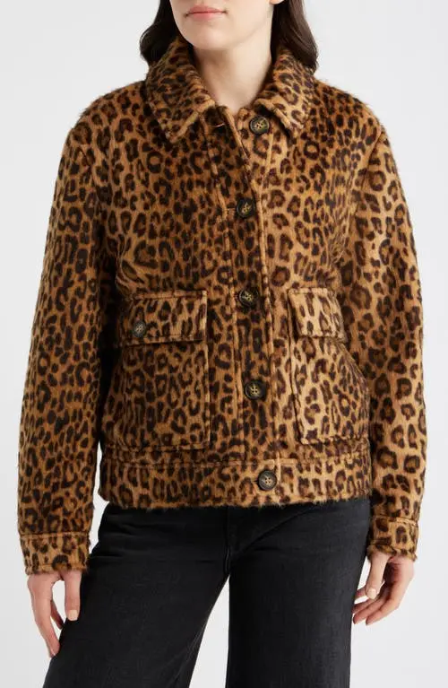Bernardo Print Jacket