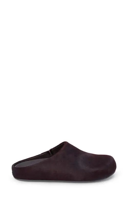Matisse Daria Genuine Calf Hair Mule - Fig