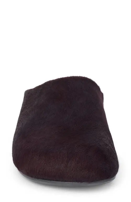 Matisse Daria Genuine Calf Hair Mule - Fig