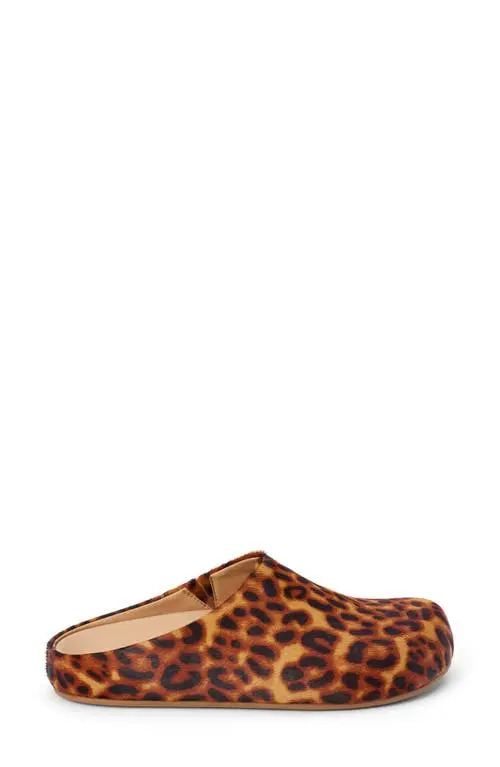Matisse Daria Genuine Calf Hair Mule - Leopard