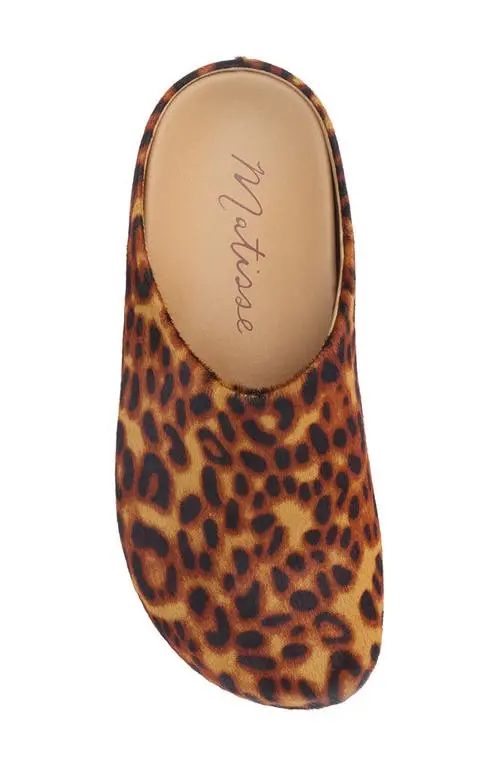 Matisse Daria Genuine Calf Hair Mule - Leopard