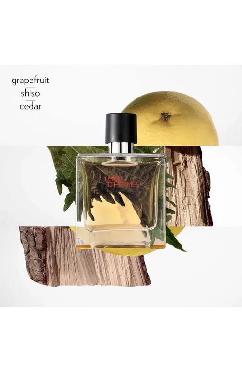 Hermès Terre D’pure Perfume