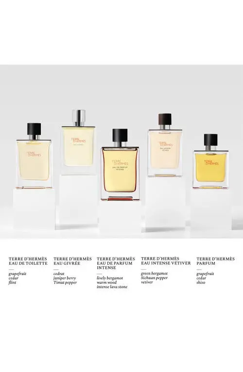 Hermès Terre D’pure Perfume