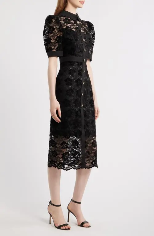TAHARI ASL Lace Midi Shirtdress