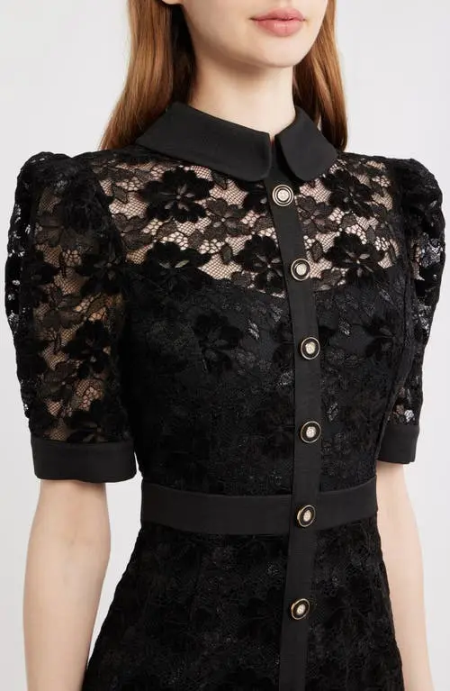 TAHARI ASL Lace Midi Shirtdress