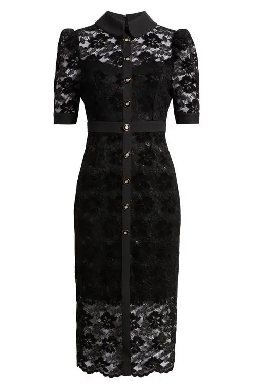 TAHARI ASL Lace Midi Shirtdress