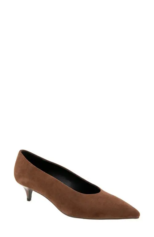 Bcbgmaxazria Pacsin Pointed Toe Kitten Heel Pump - Dark Brown