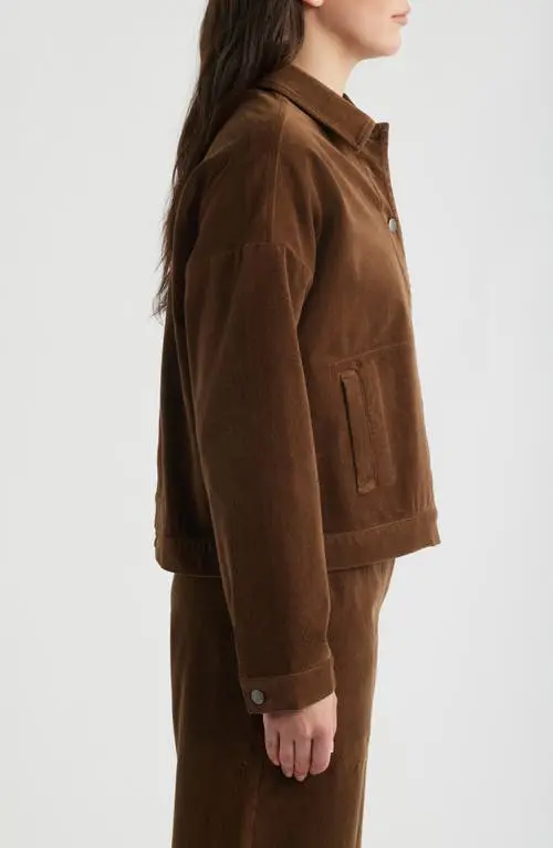 Eileen Fisher Classic Collar Corduroy Jacket - Mahogany