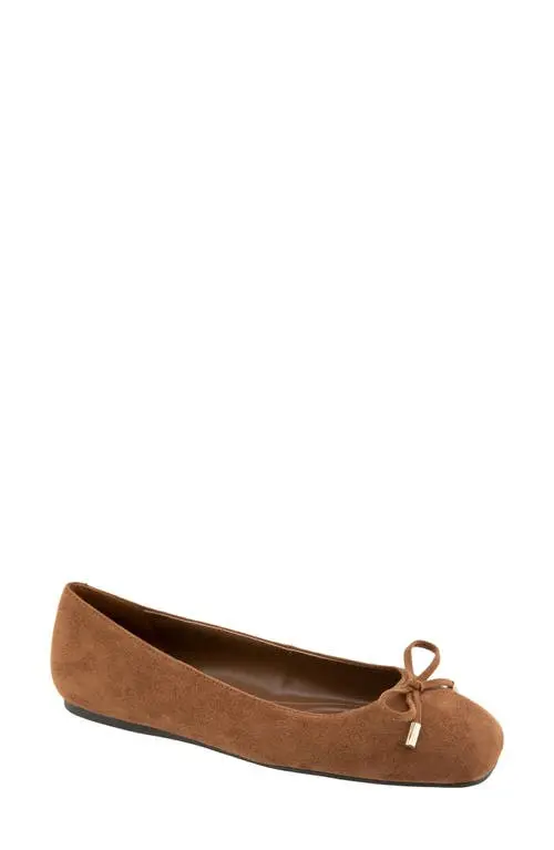 Bcbgmaxazria Hartly Bow Ballet Flat - Brown