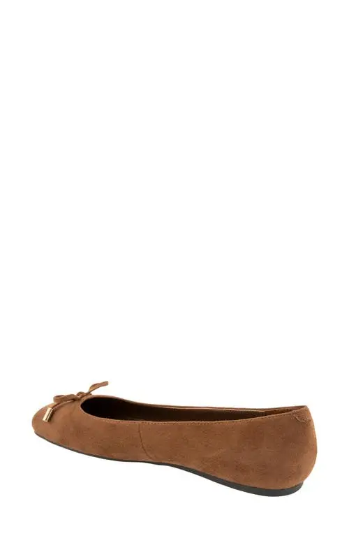 Bcbgmaxazria Hartly Bow Ballet Flat - Brown
