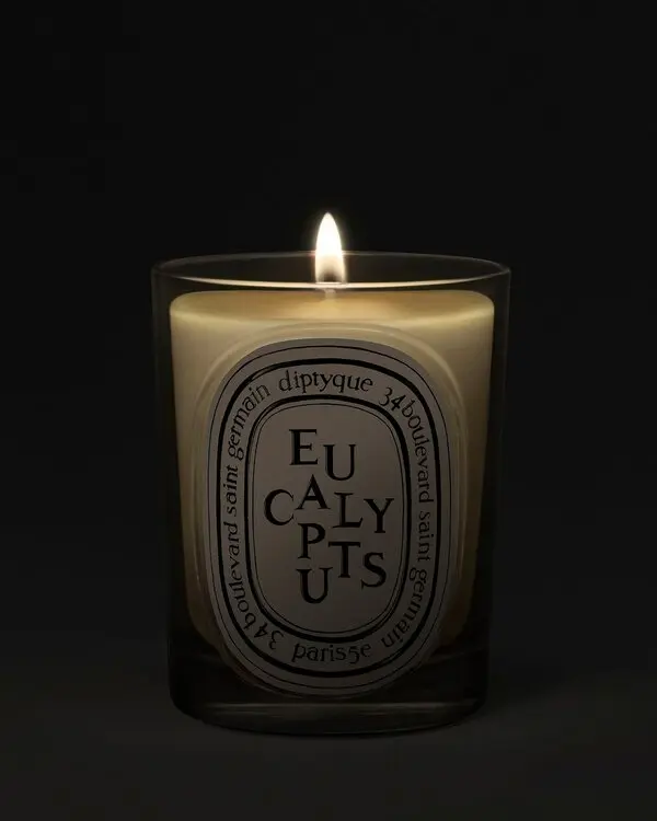 DIPTYQUE Eucalyptus Classic Candle 6.7 Oz