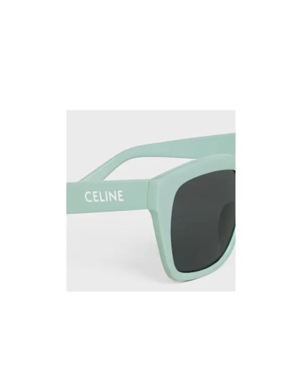 Celine Monochroms 03 Sunglasses In Acetate