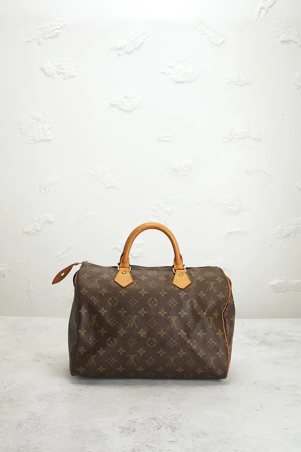 LOUIS VUITTON Monogram Speedy 30 Handbag