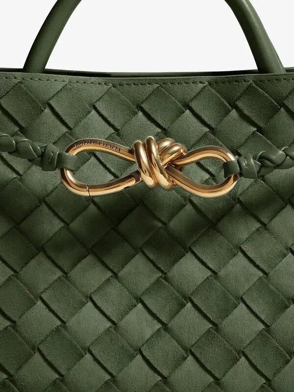 Bottega Veneta Small Andiamo Suede Handbag