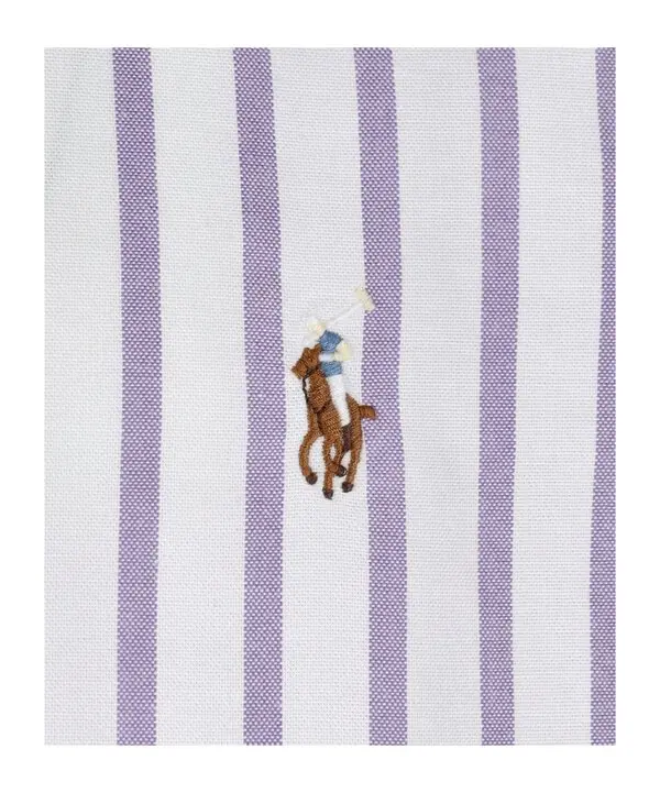 Polo Ralph Lauren Buttoned Striped Shirt