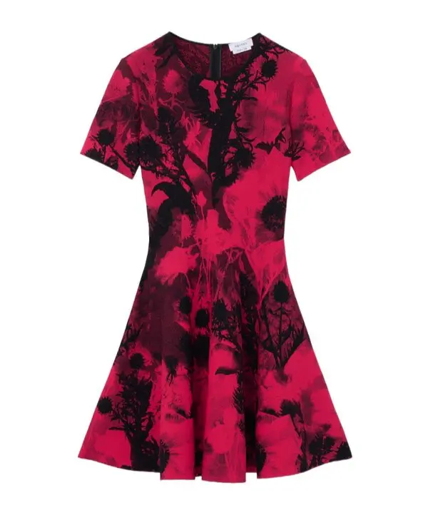 Alexander McQueen Crew-neck Flared-hem Mini Dress