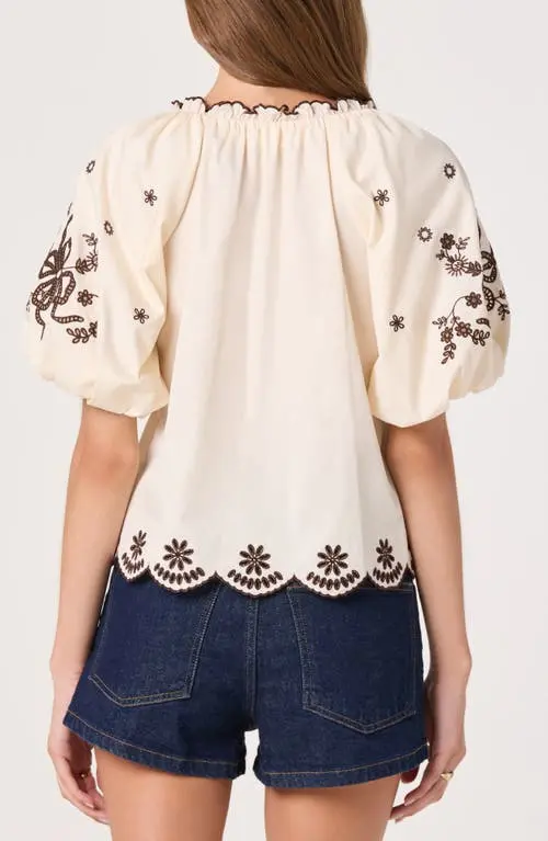 Astr The Label Lucia Embroidered Balloon Sleeve Top With Tie Neck