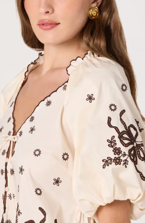 Astr The Label Lucia Embroidered Balloon Sleeve Top With Tie Neck