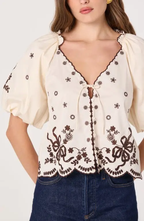 Astr The Label Lucia Embroidered Balloon Sleeve Top With Tie Neck