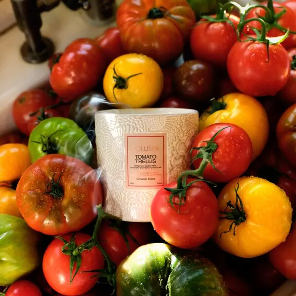 Voluspa Tomato Trellis Luxe Classic Candle 12 Oz
