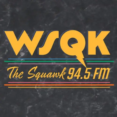 STRANGER THINGS Vintage Radio The Squawk Wsqk T Shirt