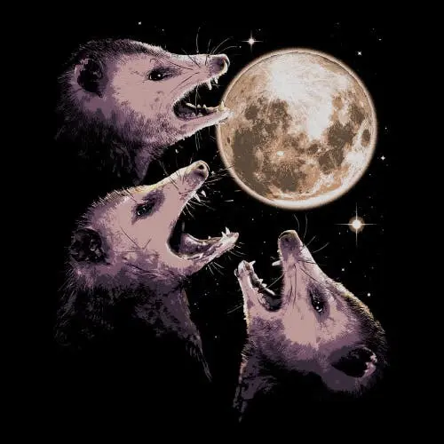 LOST GODS Opossums Moon Call Short Sleeve Graphic T-shirt - Black
