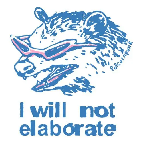 LOST GODS Opossum Will Not Elaborate Graphic T-shirt