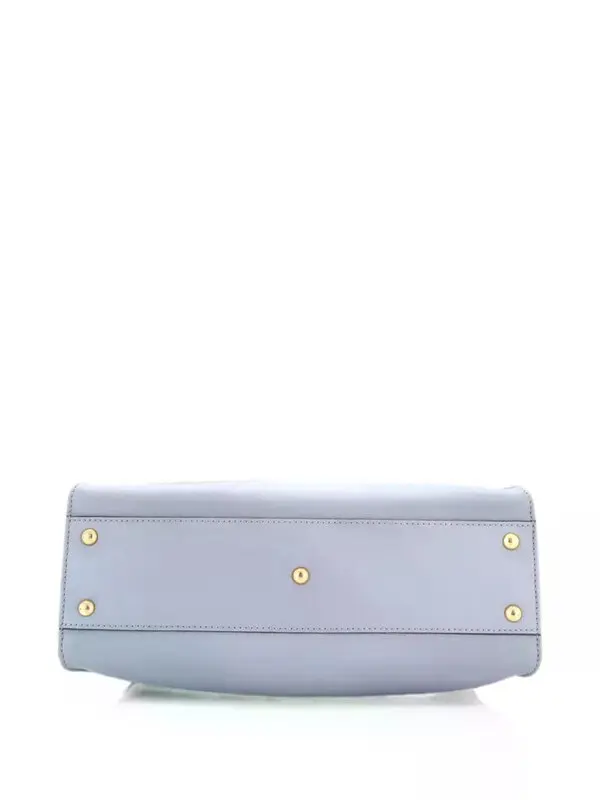 Fendi Peekaboo Bag Rigid Leather Regular Satchel