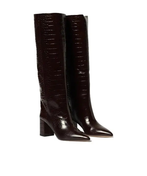 Paris Texas Pointed-toe Boots