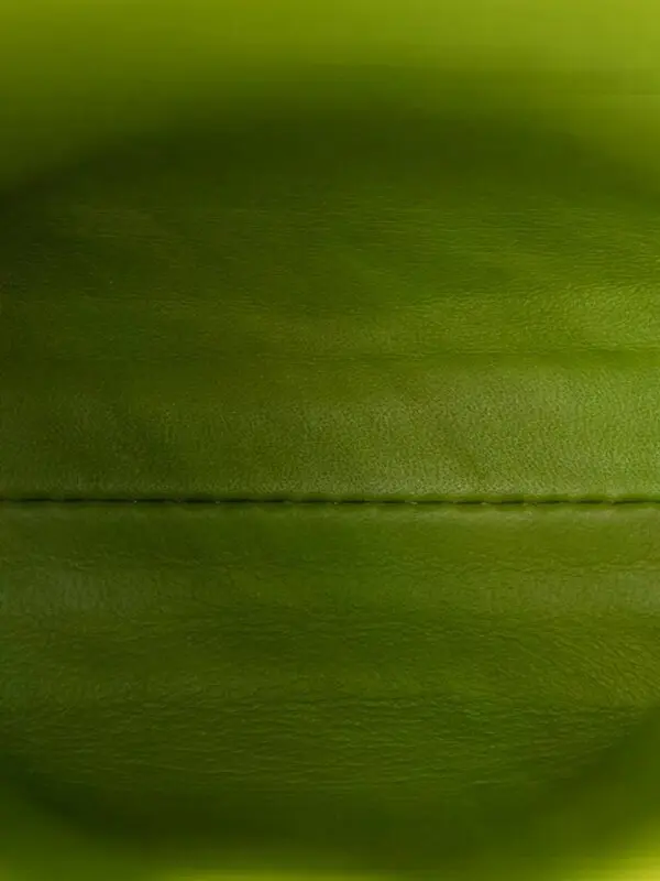 Loewe Leather Elephant Pocket Crossbody Bag - Green