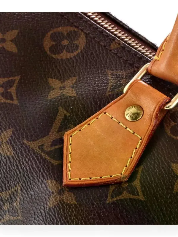 LOUIS VUITTON Speedy Monogram Canvas 30 Satchel - Brown