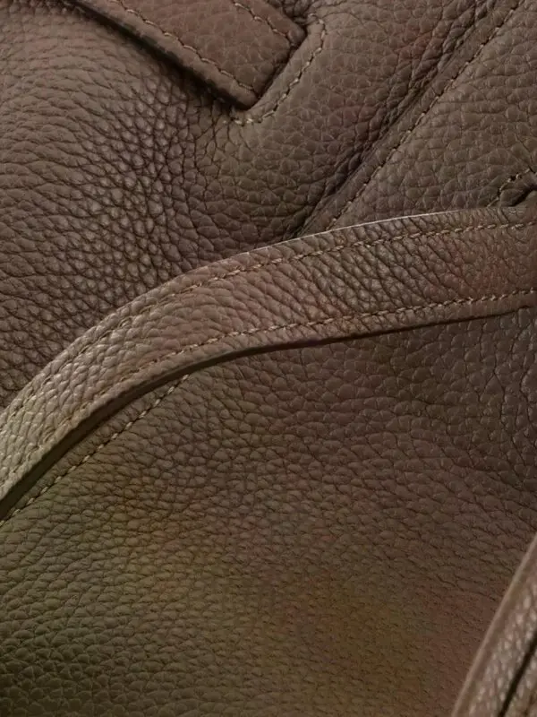 Celine Phantom Tie Cabas Tassel Leather Small Tote Bag