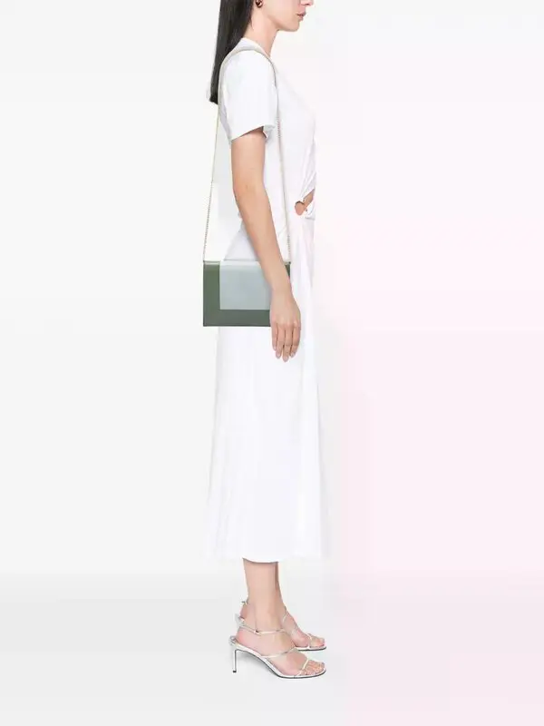 Celine Bicolor Leather Frame Wallet On Chain Crossbody Bag - Green
