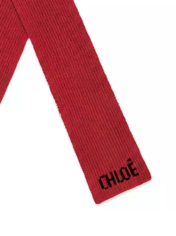 Chloé Joyful Scarf In Wool & Cashmere