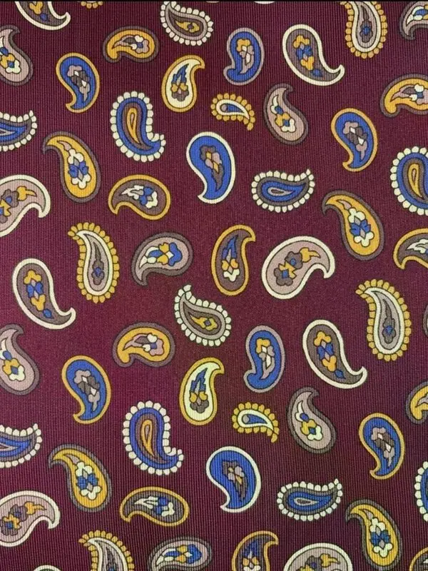 BONA FURTUNA Paisley Print Neck Tie