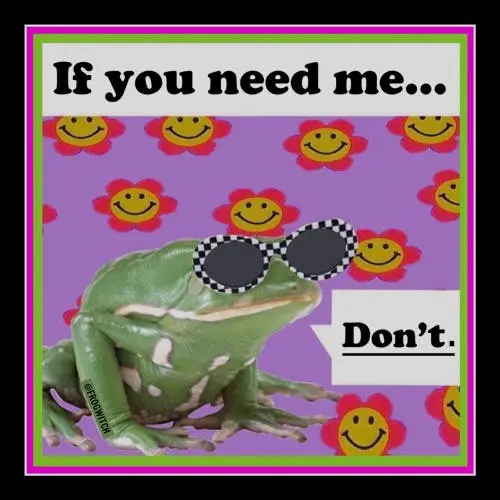 LOST GODS Groovy Frog Don't Photo T Shirt