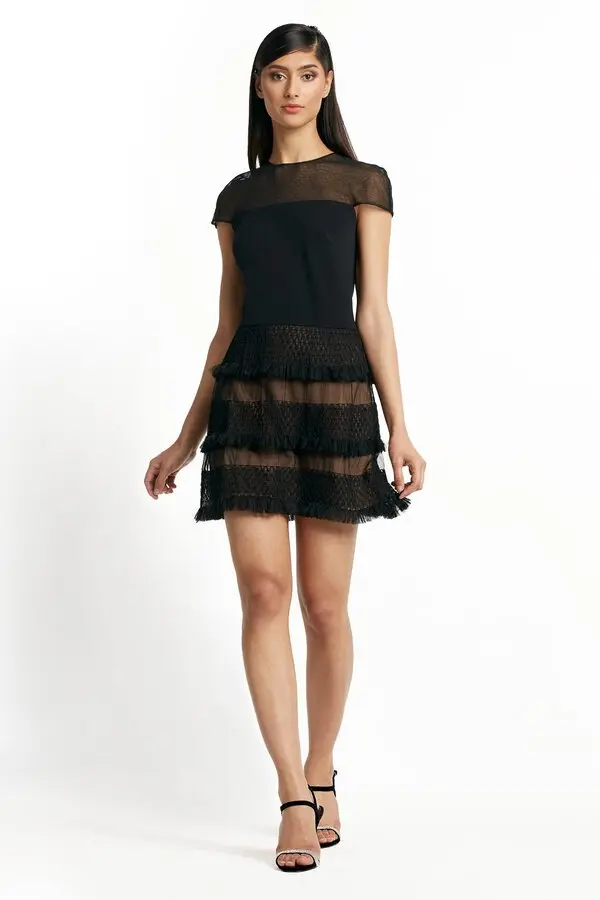 Tadashi Shoji Steffy Skater Mini Dress - Black/nude